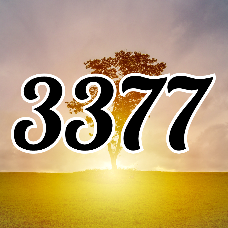  3377 Holy Land Network